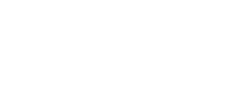 Support your gut health with the World's Most Nutrient Dense Bone Brot ...